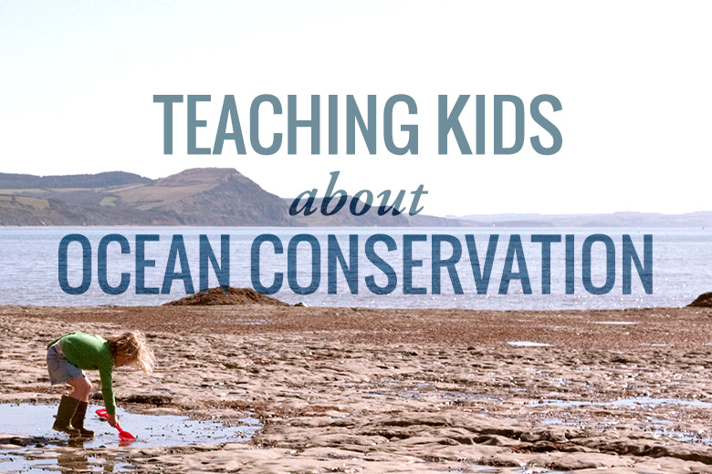 6 Ways to Teach Your Kids About Ocean Conservation – Panama Jack®